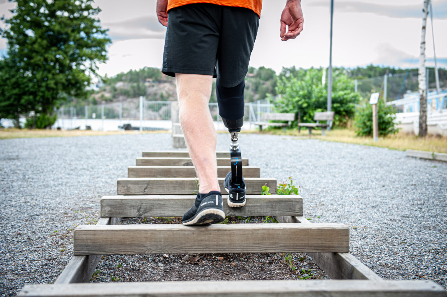 Professional – Fillauer Website