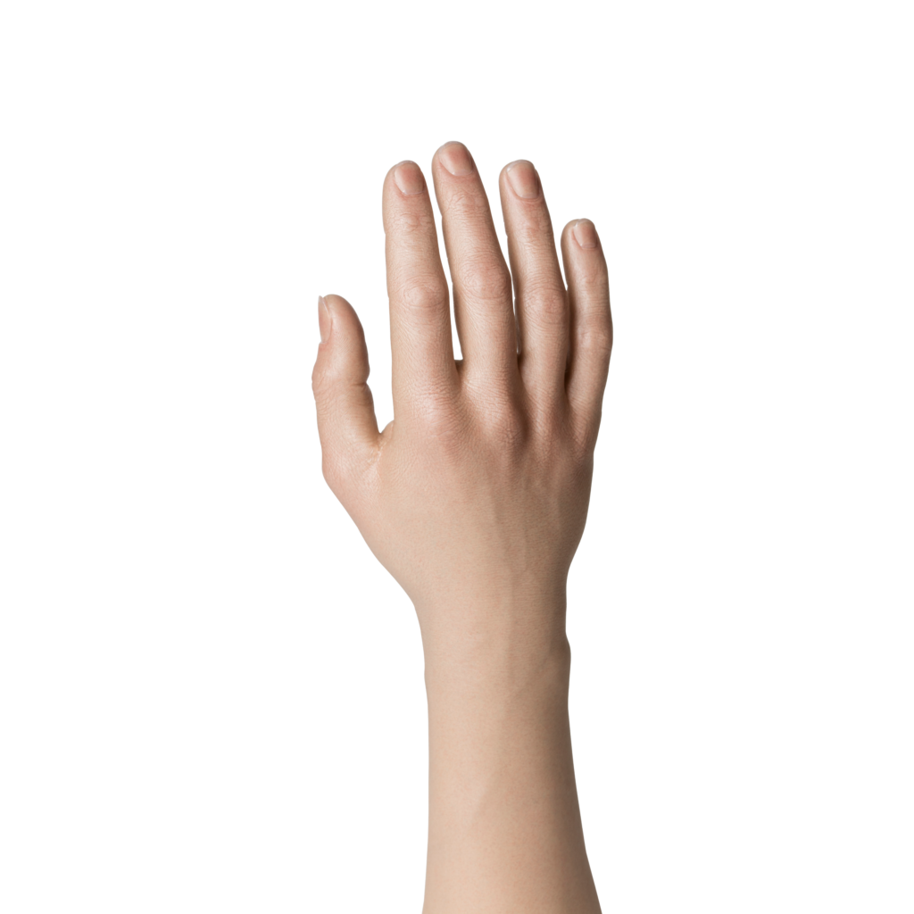 Natural Definition Glove, Male – Fillauer Website